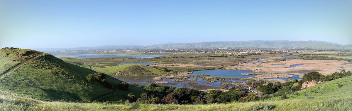 周日徒步 Coyote Hills – Xilin Sun